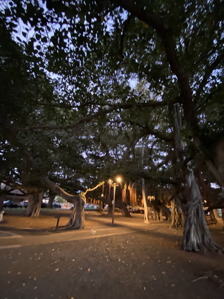 LAHAINA BANYAN COURT PARK - TEMP. CLOSED - Updated September 2025 - 625 ...