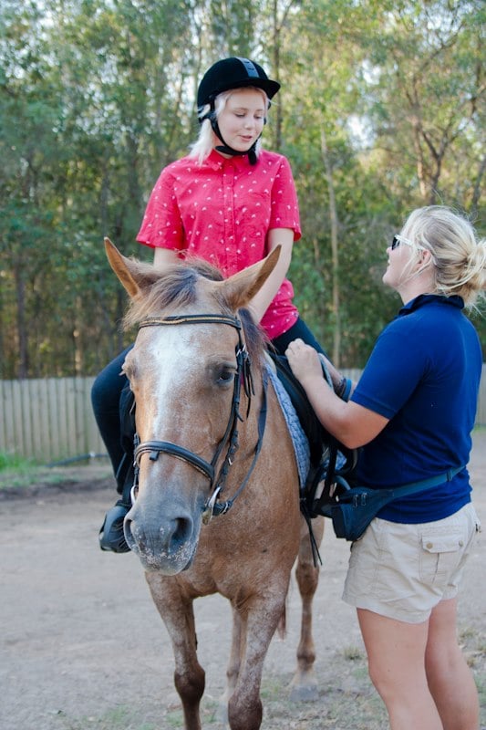 FOREST LAKE RIDING SCHOOL - Updated June 2025 - 19 Greentree Cres ...