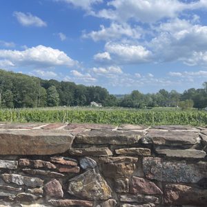 CROSSING VINEYARDS & WINERY - Updated April 2025 - 228 Photos & 199 ...