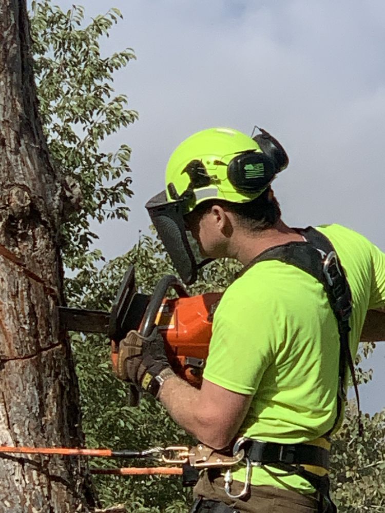BRIGHT STAR TREE SERVICE - Updated July 2025 - Request a Quote - 63 ...