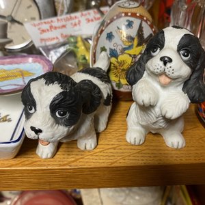 WATERLOO ANTIQUES MALL - Updated December 2025 - 10 Reviews - 255 ...