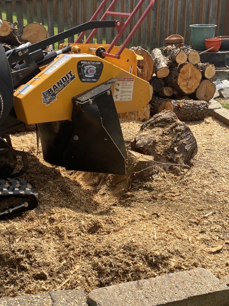 Randall’s Stump Grinding - Trusted Since 2022 - Updated July 2025 ...