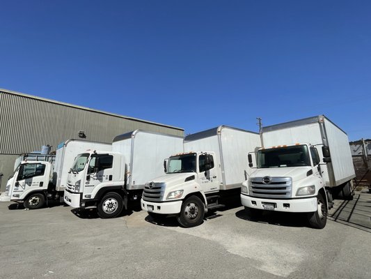 OASIS MOVING COMPANY - Updated October 2025 - 12 Photos & 378 Reviews ...