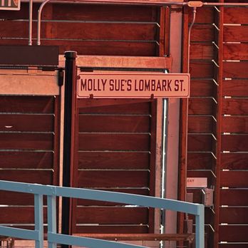 MUTTVILLE SENIOR DOG RESCUE - Updated January 2026 - 356 Photos & 172 ...