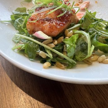 CENTRO BAR & KITCHEN - Updated August 2024 - 1319 Photos & 582 Reviews ...