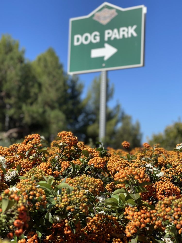 DIAMOND BAR DOG PARK - Updated July 2025 - 79 Photos & 80 Reviews - 738 ...