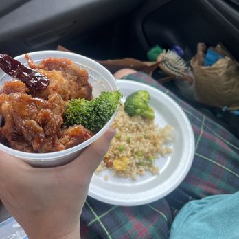 YOUNG CHOW’S CHINESE CUISINE - Updated December 2025 - 34 Photos & 77 ...