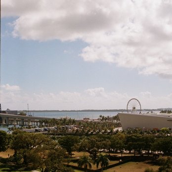 BELLOWS FILM LAB MIAMI - Updated January 2025 - 48 Photos & 34 Reviews ...