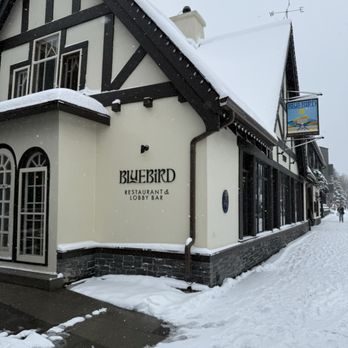 BLUEBIRD - Updated May 2025 - 194 Photos & 98 Reviews - 218 Lynx Street ...