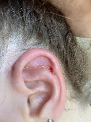 HIGHLANDER TATTOOS - Updated August 2024 - 33 Photos & 42 Reviews ...