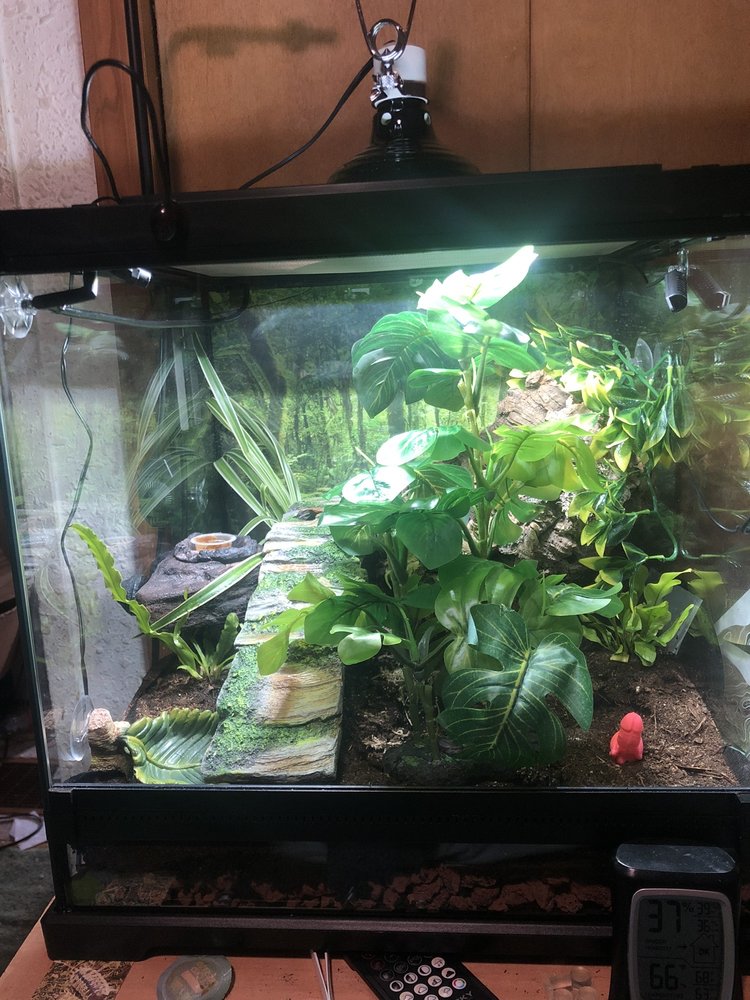 REPTILE RAPTURE - 23 Photos & 22 Reviews - 6308 Monona Dr, Monona, WI ...