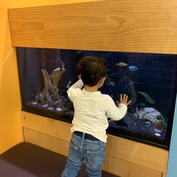 HINSDALE PUBLIC LIBRARY - Updated September 2025 - 15 Photos & 13 ...