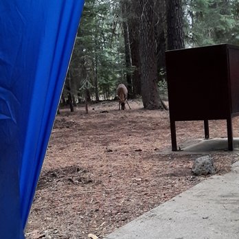 CATTLE CAMP CAMPGROUND - Updated October 2025 - CA-89, McCloud ...