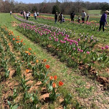 HOWARD FAMILY FARM - Updated January 2026 - 68 Photos & 12 Reviews ...