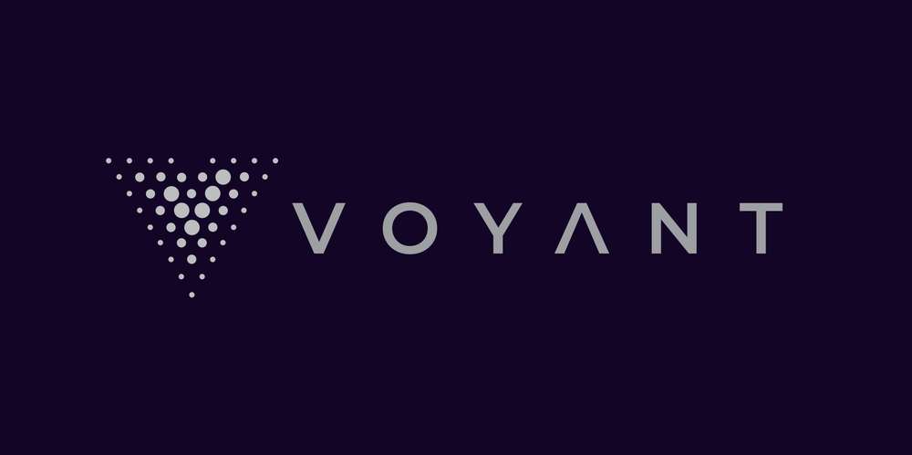 VOYANT HEALTH - Updated November 2025 - Request Consultation - 2219 ...