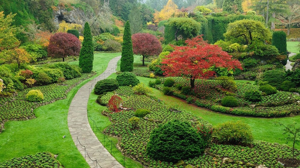 RAY’S LANDSCAPING - Updated September 2025 - San Diego, California ...