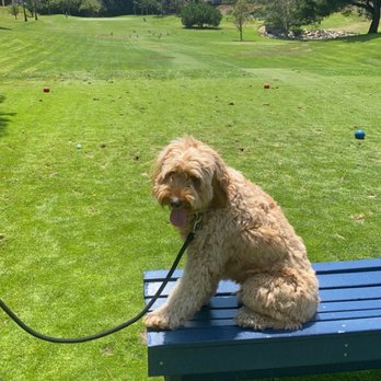 WESTDRIFT MANHATTAN BEACH GOLF - Updated December 2025 - 41 Photos & 43 ...