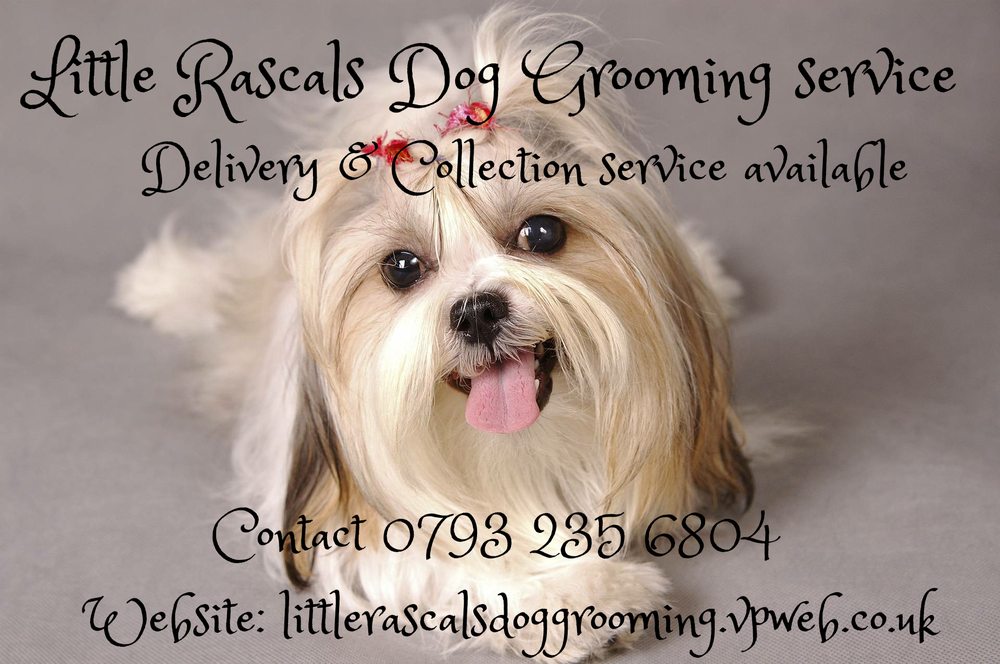 LITTLE RASCALS DOG GROOMING SERVICE - Updated May 2025 - The Clubhouse ...