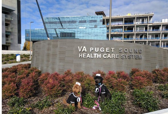 VA PUGET SOUND HEALTH CARE SYSTEM - SEATTLE DIVISION - Updated December ...