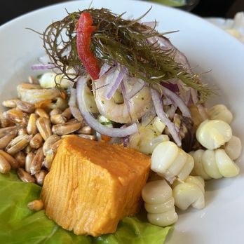 LIMA PERUVIAN RESTAURANT - Updated April 2025 - 498 Photos & 392 ...
