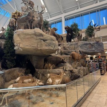 SCHEELS - Updated December 2025 - 760 Photos & 218 Reviews - 4450 ...