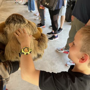 ANIMAL EDVENTURE PARK & SAFARI - Updated August 2025 - 561 Photos & 171 ...