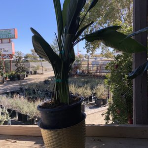 SITE ONE LANDSCAPE SUPPLY - Updated June 2025 - 37810 Sierra Hwy ...