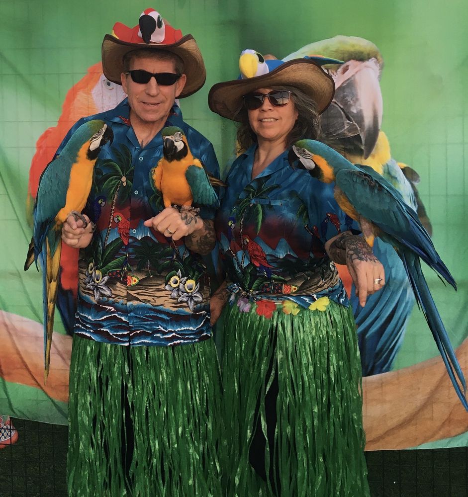 SUNBURST ELEMENTARY SCHOOL - Updated August 2025 - 10 Photos - 14218 N ...