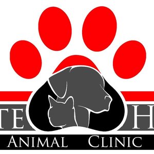 FAIRMONT VETERINARY HOSPITAL - Updated February 2025 - 17 Photos - 619 ...