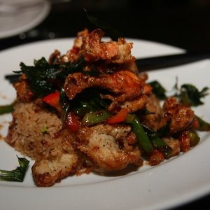 AVALON CINEMA - ELECTRIC CASTLES WUNDERLAND - Updated December 2025 ...