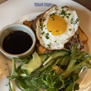 BLUEBIRD - 14 Photos - 218 Lynx Street, Banff, AB, Canada - Yelp