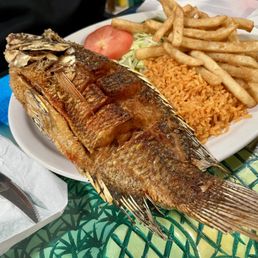 TAQUERIA ARANDAS RESTAURANT - Updated July 2025 - 73 Photos & 53 ...