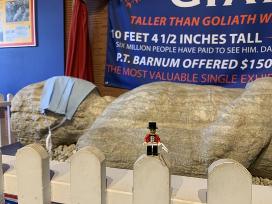 FENIMORE FARM AND COUNTRY VILLAGE - Updated October 2025 - 126 Photos ...