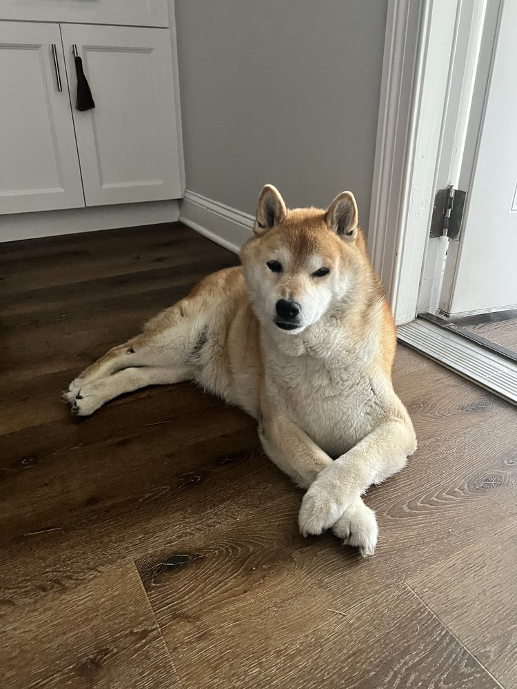 TWO RIVERS ANIMAL HOSPITAL - Updated January 2026 - 21 Photos & 27 ...