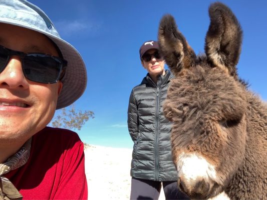 DEATH VALLEY INN & RV PARK - Updated October 2025 - 43 Photos & 81 ...