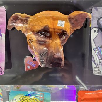 EXOTIX - Updated March 2025 - 71 Photos & 32 Reviews - 738 N Highland ...