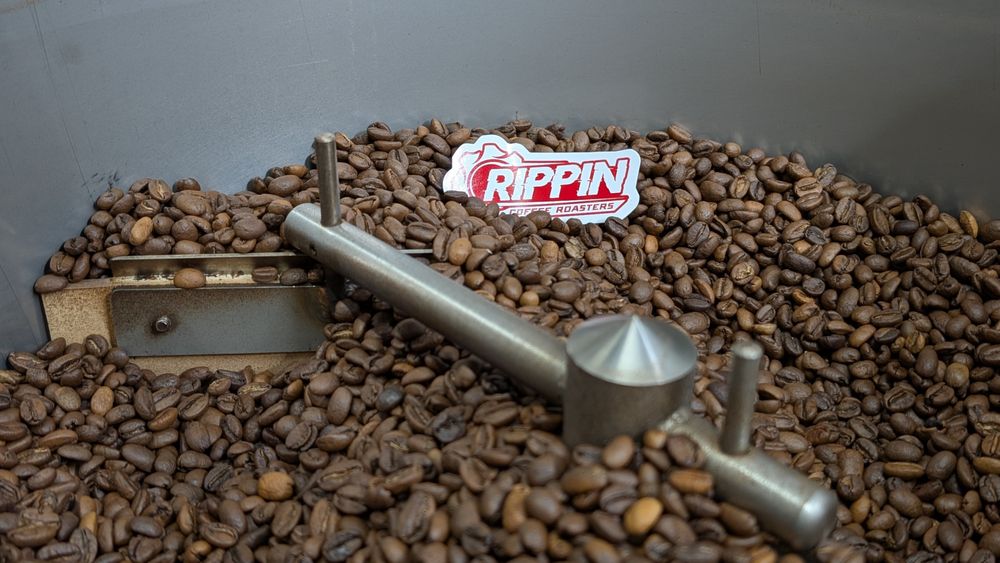 RIPPIN - Updated November 2025 - 68 Schraalenburgh Rd, Harrington Park ...