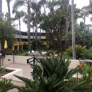 LEMON TREE INN - 222 Photos & 334 Reviews - 2819 State St, Santa ...