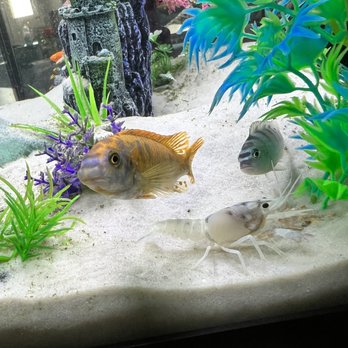 NEIGHBORHOOD FISH FARM - Updated June 2025 - 76 Photos & 71 Reviews ...