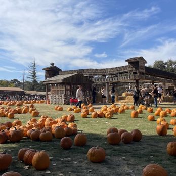 FOG WILLOW FARMS - Updated October 2025 - 484 Photos & 192 Reviews ...