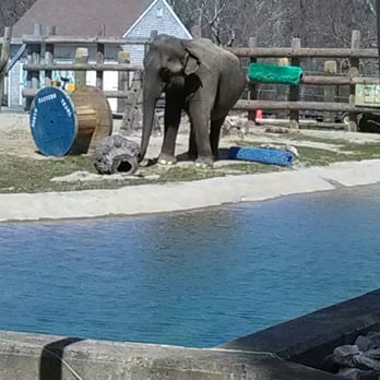 BUTTONWOOD PARK ZOO - Updated August 2025 - 196 Photos & 54 Reviews ...