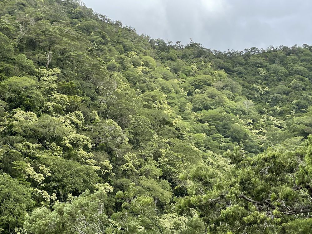 INTERSTATE H-3: JOHN A. BURNS FREEWAY - Updated December 2024 - 538 ...