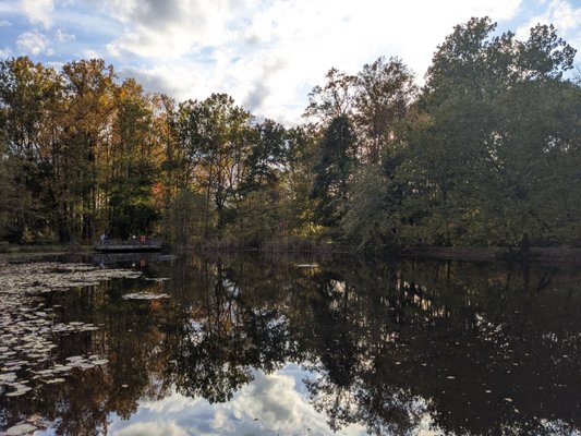 ELLANOR C LAWRENCE PARK - WALNEY VISITORS CENTER - 187 Photos & 39 ...