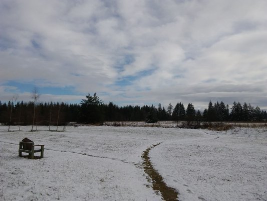 NORTHWEST VIPASSANA CENTER - DHAMMA KUNJA - Updated January 2025 - 16 ...