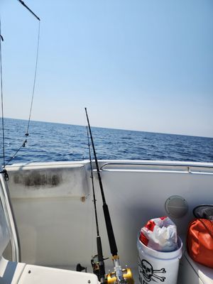 MONSTER RESERVATIONS GROUP - Updated March 2025 - 440 Photos & 1094 ...