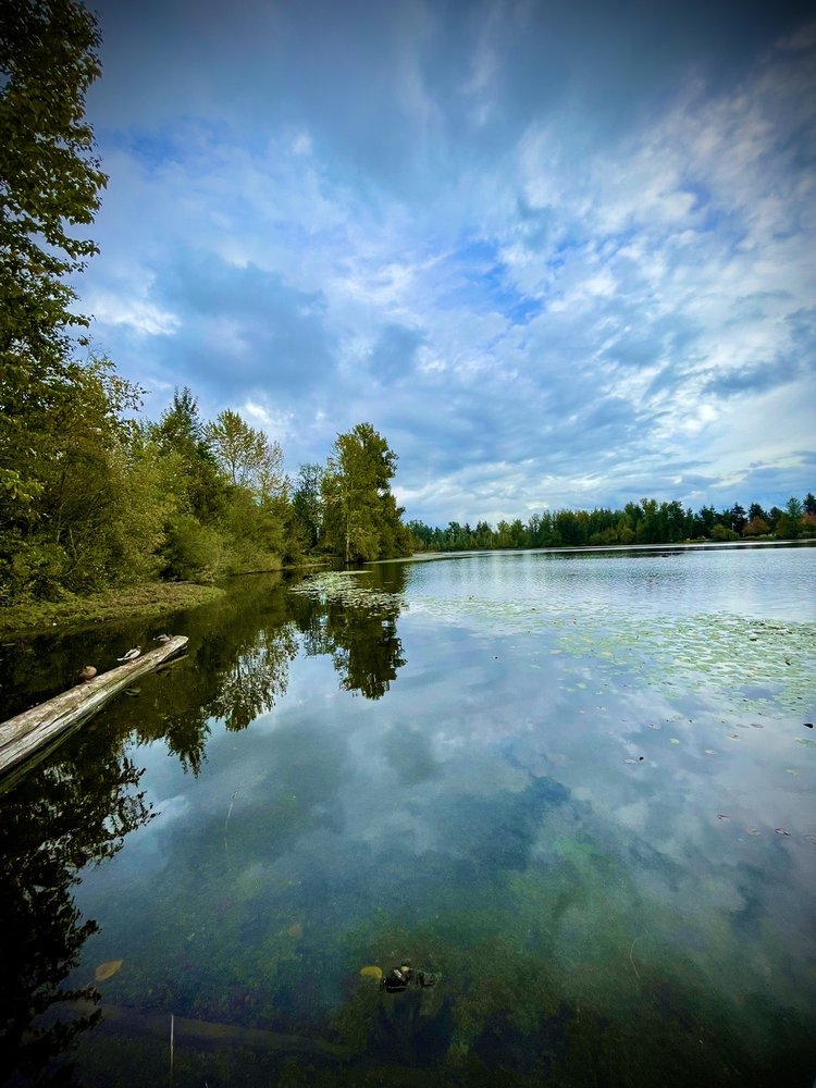 MILL LAKE PARK - Updated February 2025 - 2310 Emerson Street ...