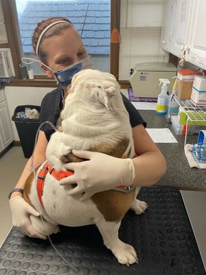 GREAT NECK VETERINARY CLINIC - Updated February 2025 - 16 Photos & 27 ...