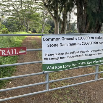 WAI KOA LOOP TRAIL - Updated October 2025 - 180 Photos & 42 Reviews - 5 ...