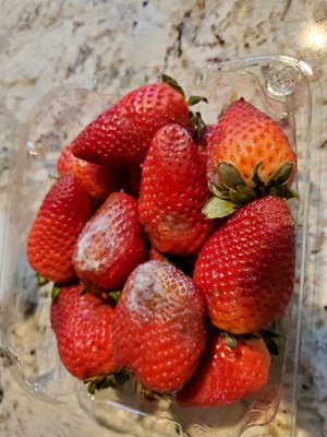 WALMART SUPERCENTER - 98 Photos & 189 Reviews - 15355 N Northsight Blvd ...