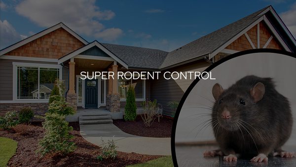 SUPER RODENT CONTROL - Updated October 2025 - 18 Photos & 28 Reviews ...